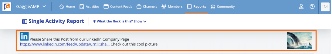What is the Single Activity Report? – Knowledge Center